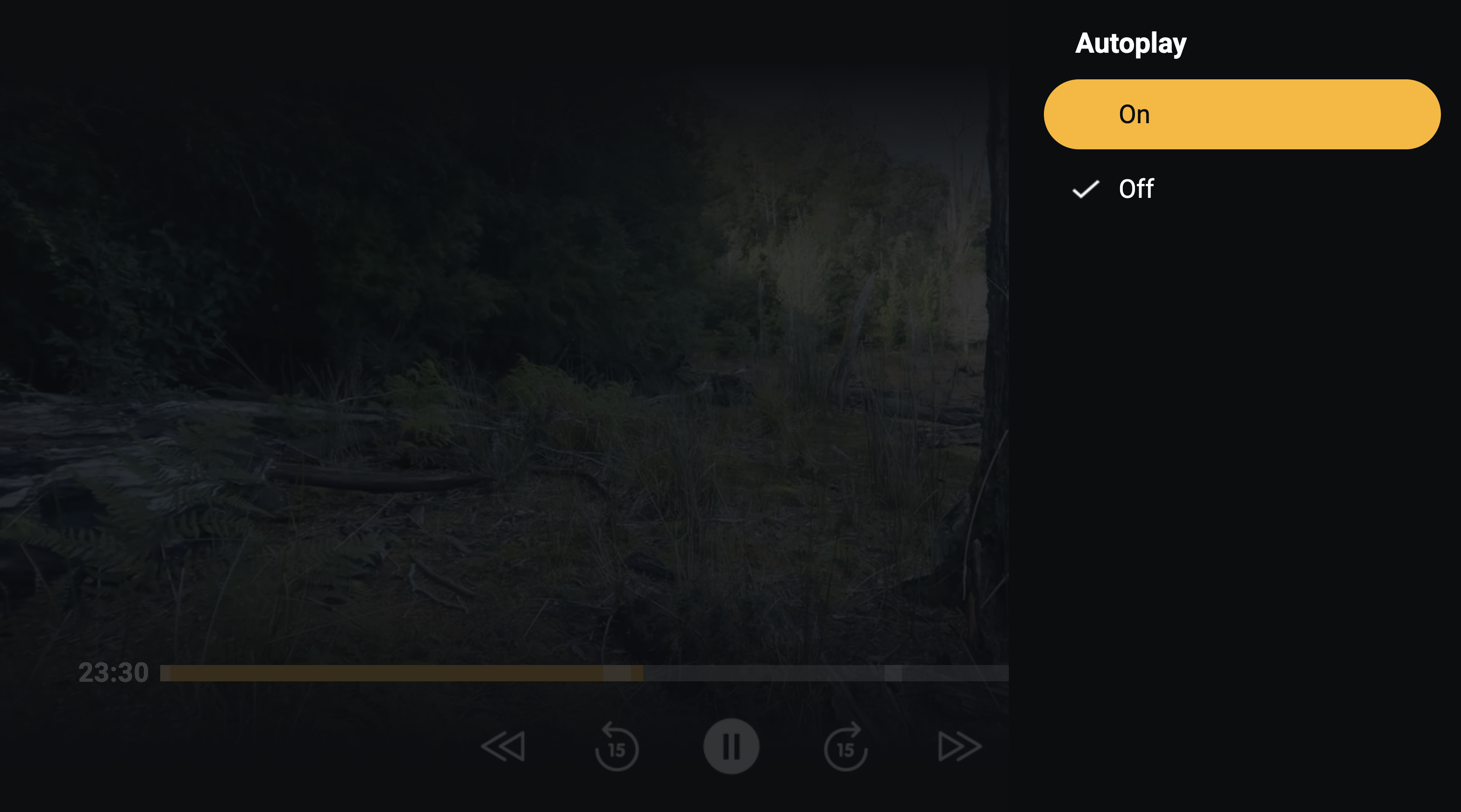 How do I enable or disable auto-play on my device? – SBS Help Centre