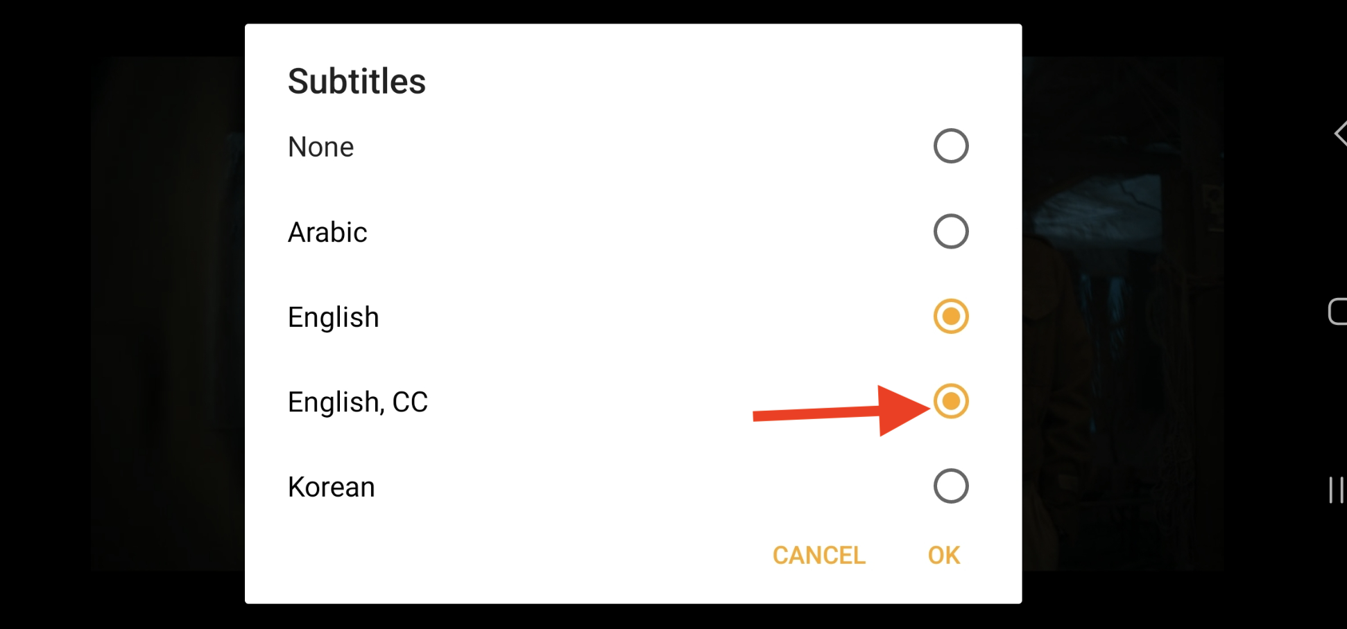 How do I enable closed captions in SBS On Demand? – SBS Help Centre